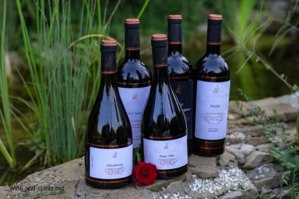 В поисках молдавского Sauvignon-а — Wine and Spirits